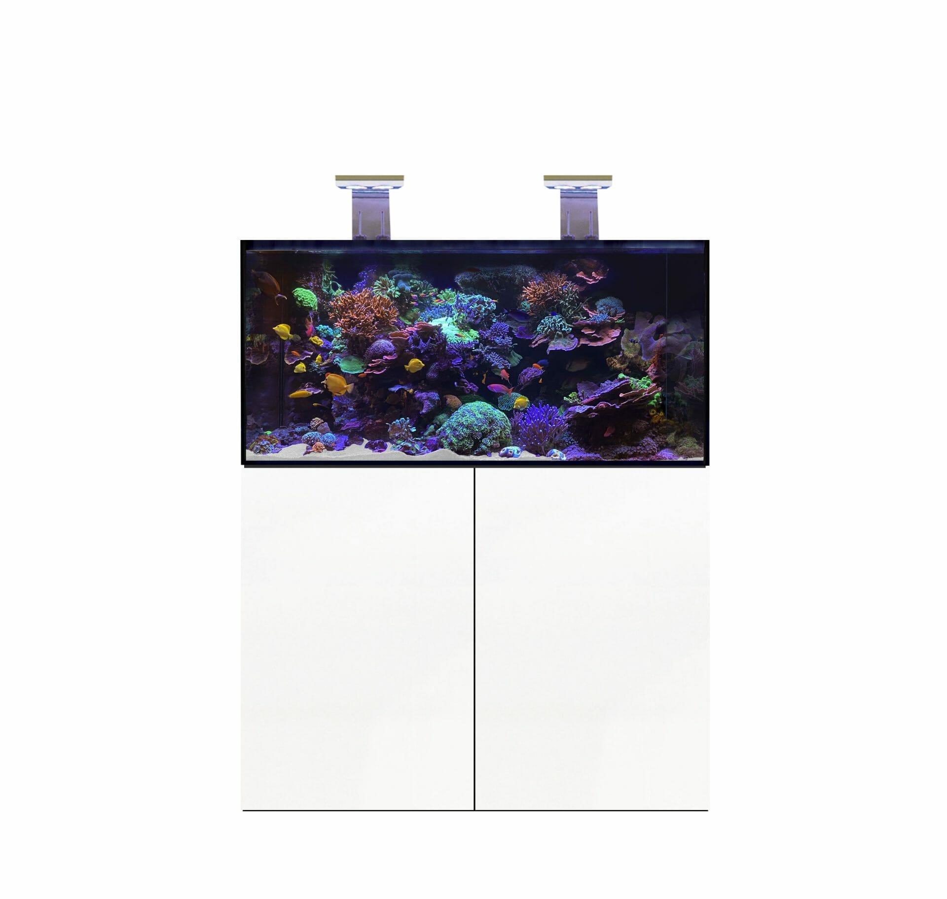 D-D AP Reef 1200 and Cabinet (White Gloss) Wooden Cabinet – H2O Aquatics