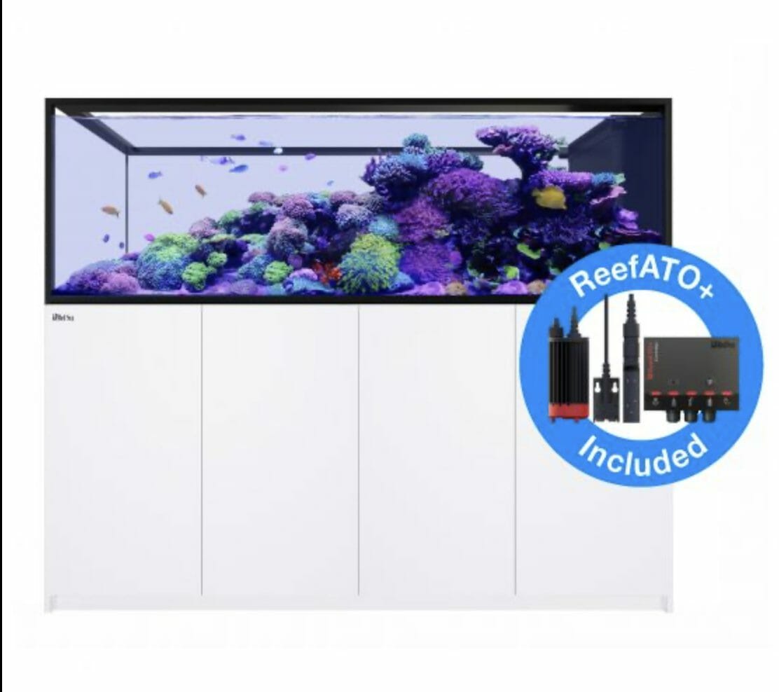 Red Sea Reefer Peninsula G2+ S-950 Deluxe Aquarium (White) – H2O Aquatics